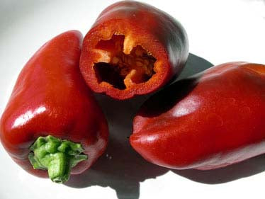 Capsicum – Birdland Organic Seeds